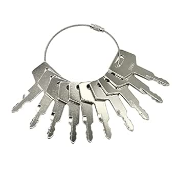 Amazon.com: 17001-00019 10 Pcs Ignition Switch Key 180845 H806 ...