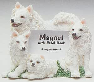 Amazon.com: American Eskimo Magnet