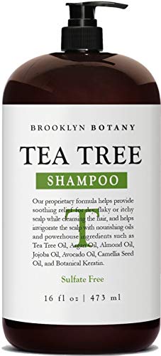 10 Best Antifungal Shampoos – 2020