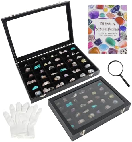 Amazon.com: STAOVA 2Pcs Rock Collection Display Box,Rock Collections ...