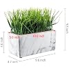 Amazon.com: MyGift 10 Inch Artificial Green Grass Plant in Rectangular ...
