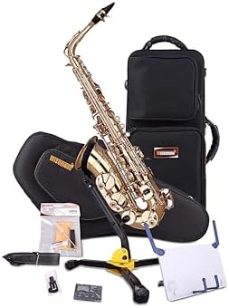 Amazon.com: WISEMANN Saxophone, 0901AS Alto Saxophone kits, with ...