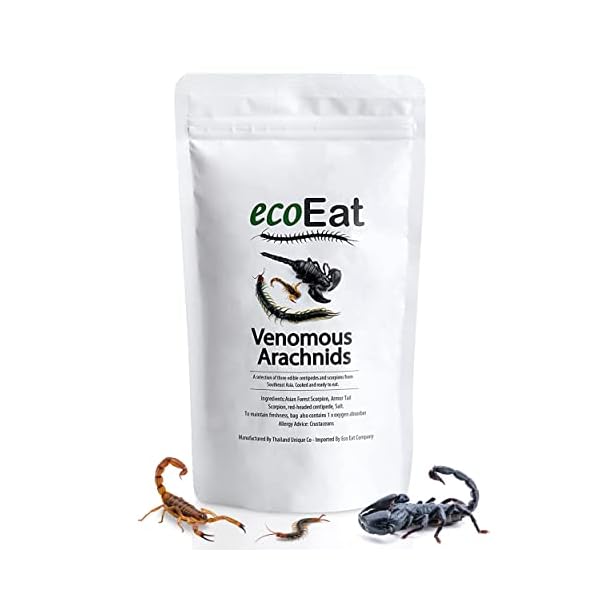 ecoEat Edible Arachnids (3 Insects) - Chinese Centipede, Black Asian ...
