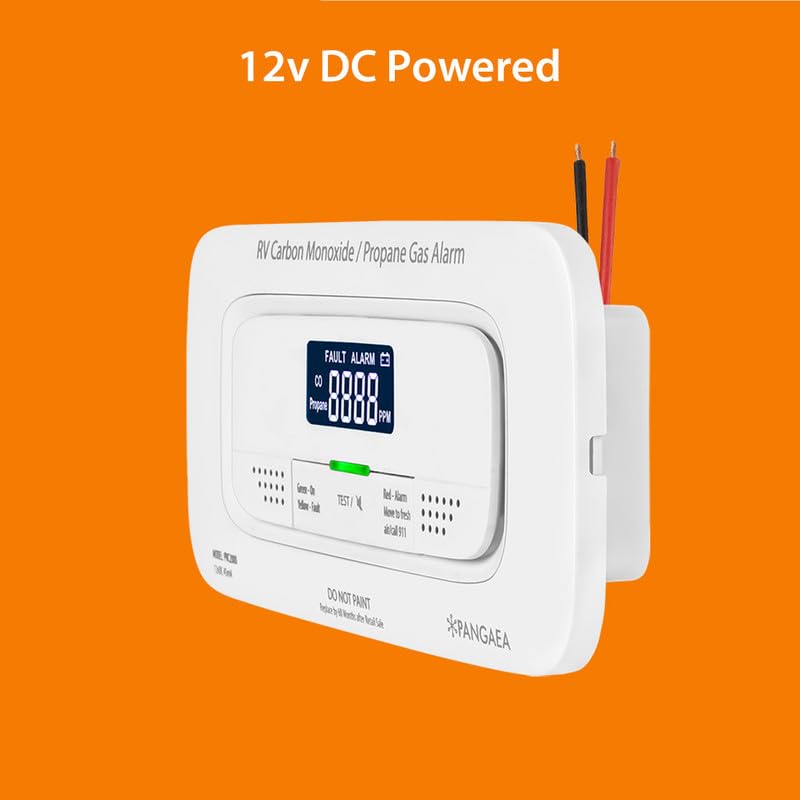 Snapklik.com : PANGAEA RV Carbon Monoxide & Propane Dual Gas Detector ...