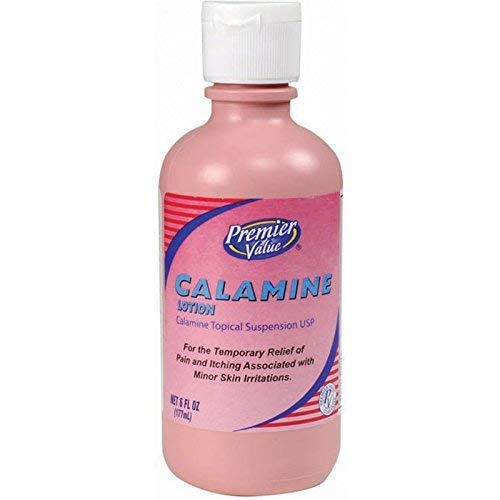 Amazon.com: Premier Value Calamine Lotion, 6 Ounce : Health & Household
