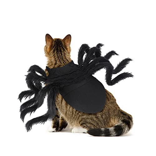 10 Best Dog Spider Costume