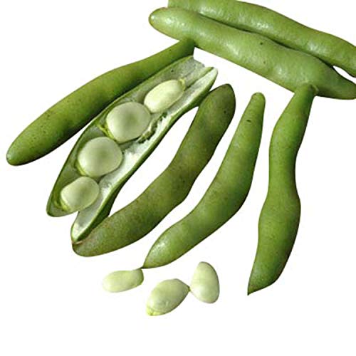 How to cook fresh shell beans - Metro Cooking Dallas