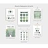 Amazon.com: LNLAGBO Affirmation Art Prints,Green Nursery Wall Art Decor ...