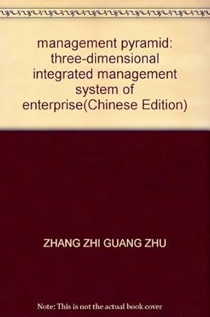 management pyramid: three-dimensional integrated management system of ...