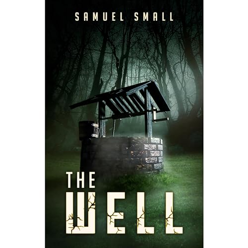 Amazon.com: The Well: A Haunted House Horror Novel (Audible Audio ...