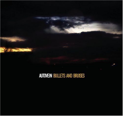 Bullets & Bruises (+DVD): Amazon.de: Musik-CDs & Vinyl