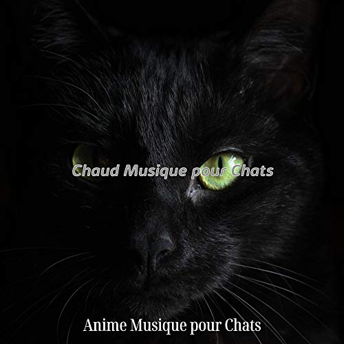 Play Chaud Musique pour Chats by Anime Musique pour Chats on Amazon Music