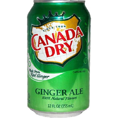 Canada Dry Ginger Ale Cans, 12 Pack 4260ml : Amazon.in: Grocery ...