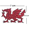 Set of 5 Wales Embroidery Patch Iron on or Sew on Embroidered Motif ...