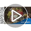 Napoleon 64007 Rotisserie Shish Kebab Wheel : Amazon.ca: Patio, Lawn ...
