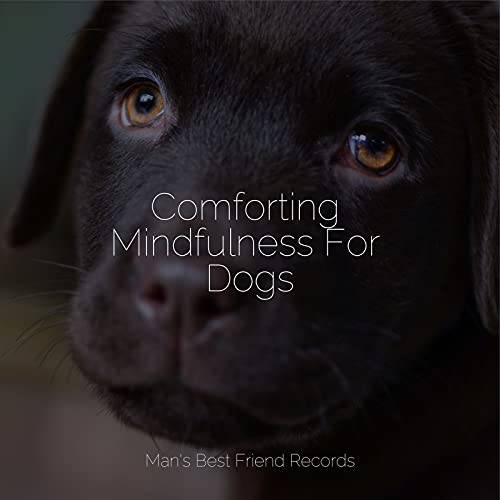 Tides of Time song by A Pattern of Leaves from Velvet Hush of Midnight ...