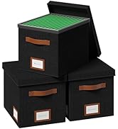 Amazon.com: GRSQYS File Storage Box with Lid File Boxes for Hanging ...