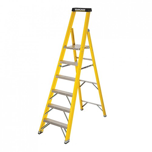 Youngman Shockproof (Fiber Glass) 5+1 Step Ladder with Platform FRP ...
