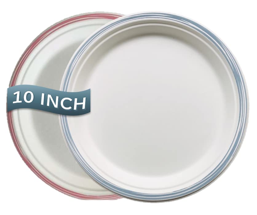 Amazon.com: The Fancy Dime Baby Shower Plates: Disposable Compostable ...