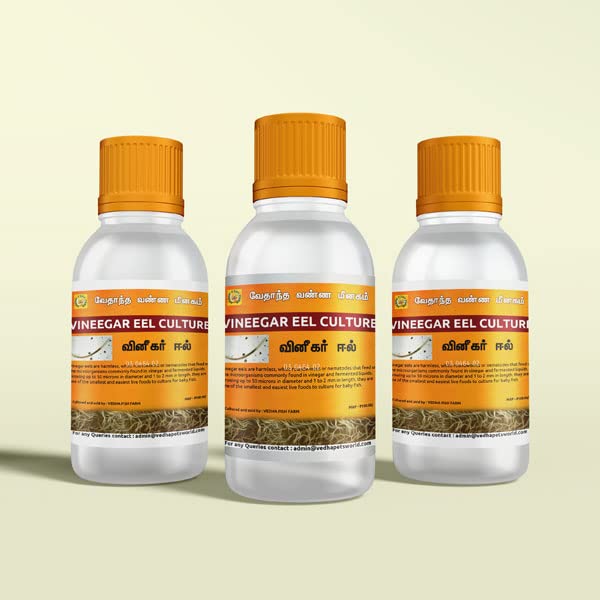 Vedha Vinegar EEL Starter Culture for New Born Baby Fishes : Amazon.in ...