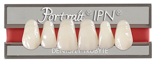 Amazon.com: Dentsply 16126LP67334 Portrait Ipn Superior Premium Denture ...