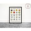 Amazon.com: History of the World Cup Ball Poster Print - Soccer Wall ...