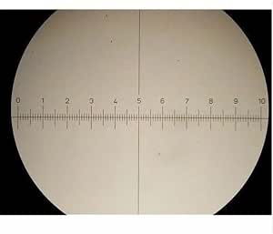 Amazon.co.jp: Lab Microscope Slide Diameter 19mm 20mm 24mm Eyepiece ...