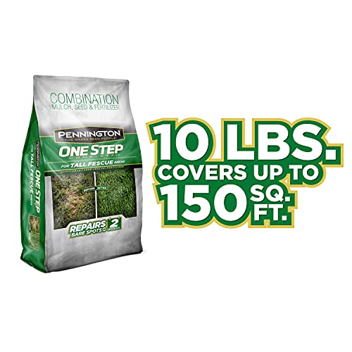 The 30 Best Bahia Grass Seeds of 2026 [Verified] - Cherry Picks