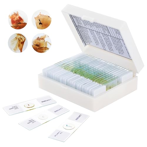 Snapklik.com : LAKWAR 25 Microscope Slides