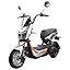HONEYWHALE ZL-Wolf Bicicleta Electrica para Adultos, Bicimoto Eléctrica ...