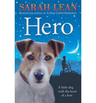 [(Hero )] [Author: Sarah Lean] [Feb-2014]: Sarah Lean: Amazon.com: Books
