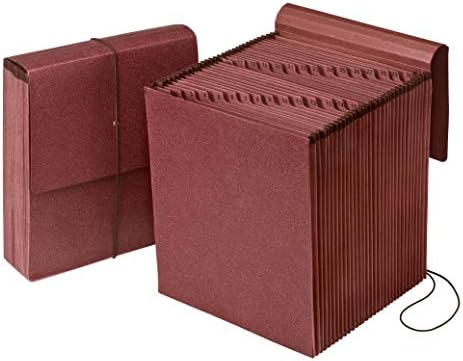 Amazon.com : 1InTheOffice Expanding File Folder 31 Sections, Accordion ...