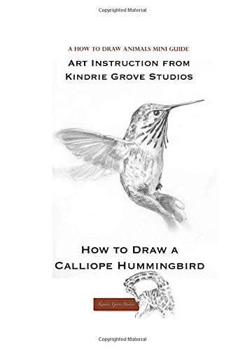 How to Draw a Calliope Hummingbird (How to Draw Animals Mini Guides ...
