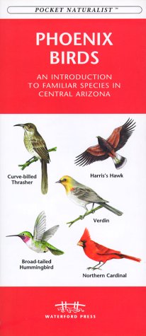 Phoenix Birds: An Introduction to Familiar Species in Central Arizona ...