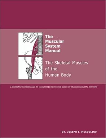The Muscular System Manual: The Skeletal Muscles of the Human Body ...