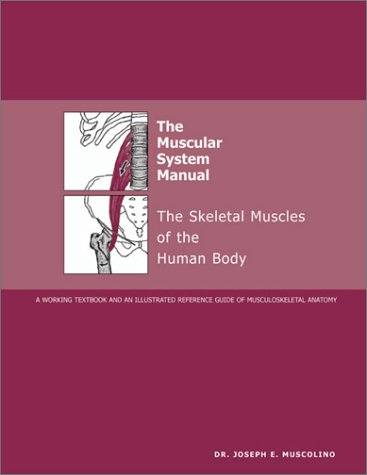 The Muscular System Manual: The Skeletal Muscles of the Human Body ...
