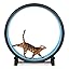 ONE FAST CAT - Cat Exercise Wheel - Gen. 7 - Safe 48" Diameter - Made ...