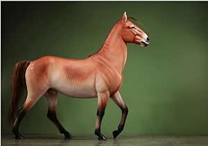 Amazon.com: WLNTDOLA Mr.z Studio 1:6 Scale Hailar Sanhe Horse Model ...