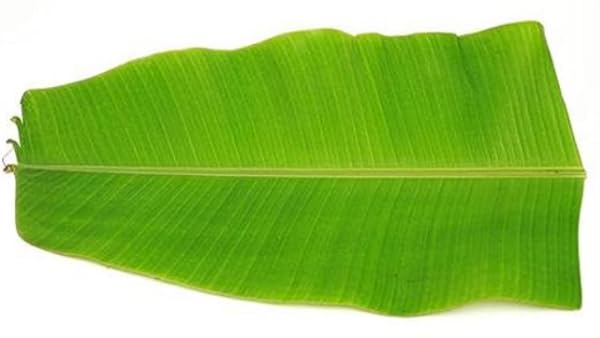 Buy Natural Fresh Banana Leaf Plates for Serving Food or Home Function ...