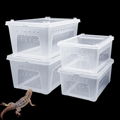 Amazon.com : VCEPJH 4 Pcs Reptile Breeding Box Plastic Feeding Box ...