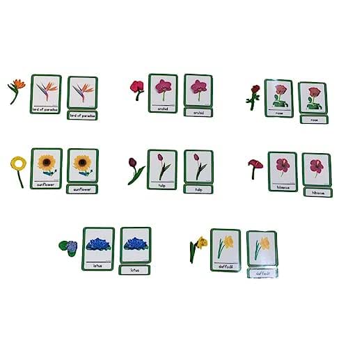 Amazon.com: Montessori Flowers-3 part cards-Three Part Cards-Montessori ...