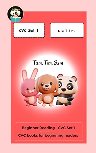 Amazon.com: CVC books for beginning readers - 1st grade CVC reading ...