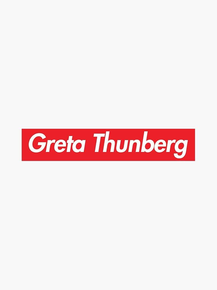 Amazon.com: Greta Thunberg Window Decal Vinyl Bumper Sticker 5 ...