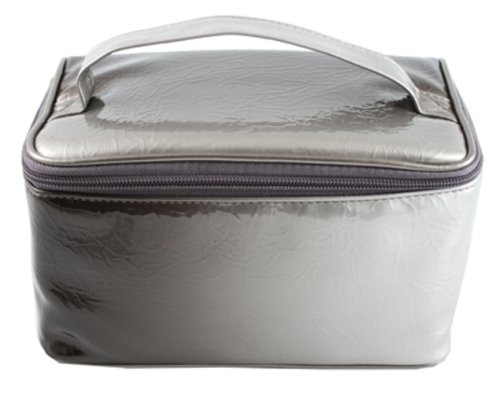 Amazon.com : Danielle Gradient Gloss Classic Train Case : Makeup Train ...