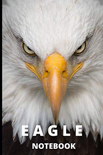 notebook Eagle: EAGLE IN THE DAY CLAIE THAT GIVES ENERGY TO SEE EAGLE ...