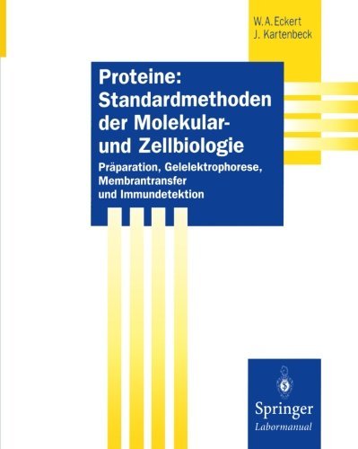 Proteine: Standardmethoden der Molekular- und Zellbiologie: Pr????paration, Gelelektrophorese ...