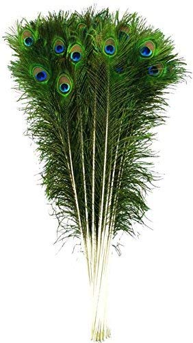 Buy Natural Peacock Feather/Mor Pankh for Pooja/Real Peacock Feather ...