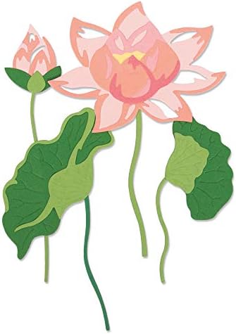 Amazon.com: Sizzix Thinlits Die Set 12 Pack Layered Spring by Sophie Guilar, Multicolor ...