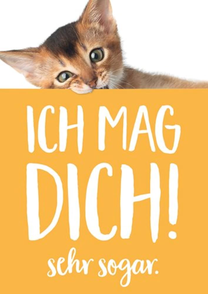 Ich Mag Dich Auch, Meme