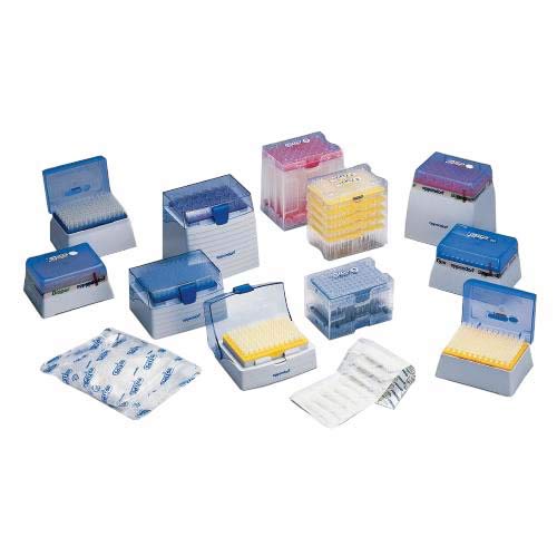 Eppendorf 0030077768 ep Dual Filter T.I.P.S. Filter Tip, Forensic DNA ...